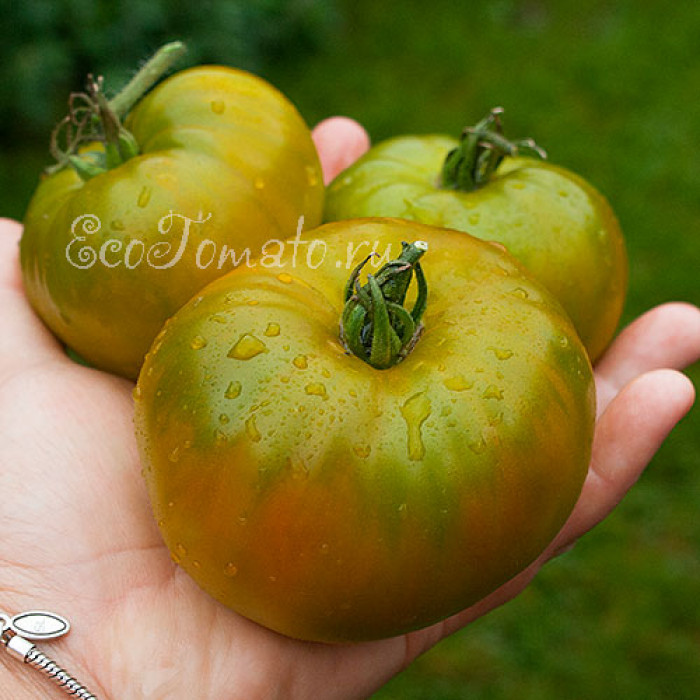 Malakhitovaya shkatulka